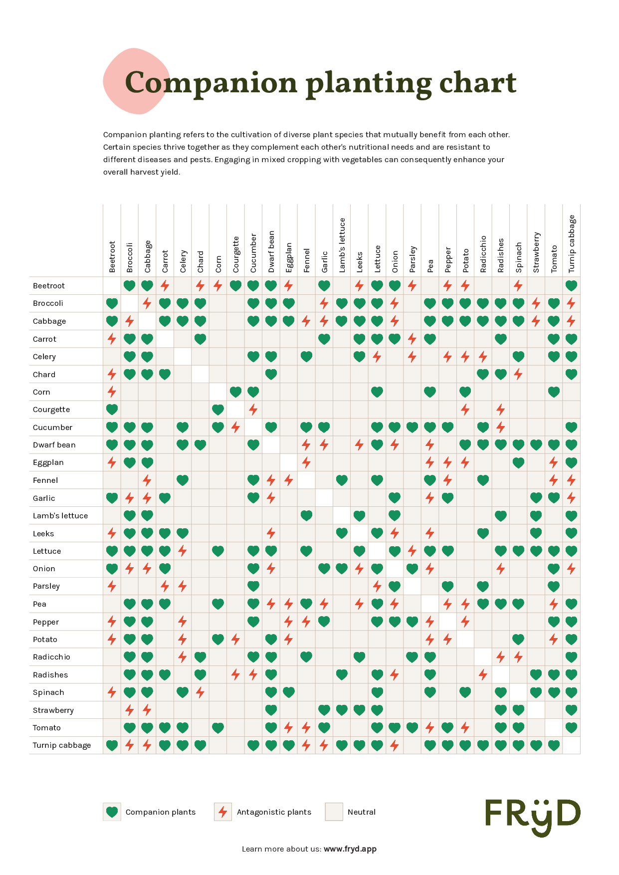 Planning Mixed Cultivation With Vegetables: Examples of Planting & Plans