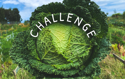 Gartenboden verbessern: Tipps für einen fruchtbaren Boden